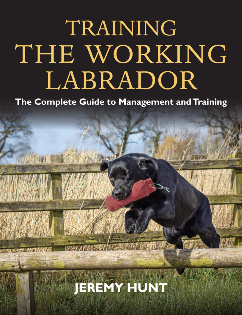 Training the Working Labrador - Quiller Publishing