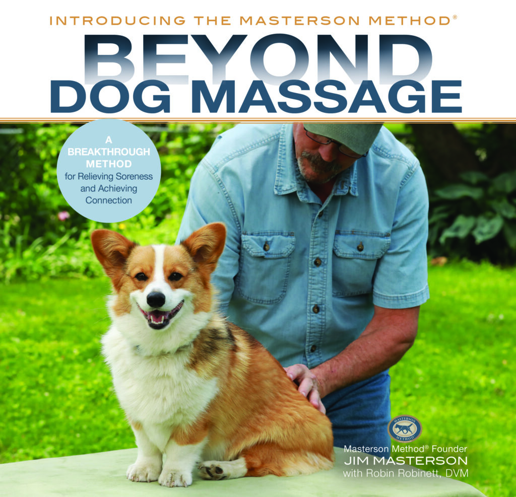 Beyond Dog Massage - Quiller Publishing