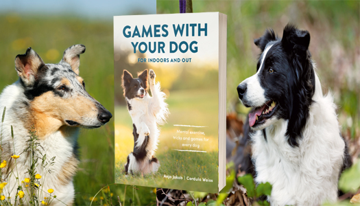 Homepage - Quiller Publishing