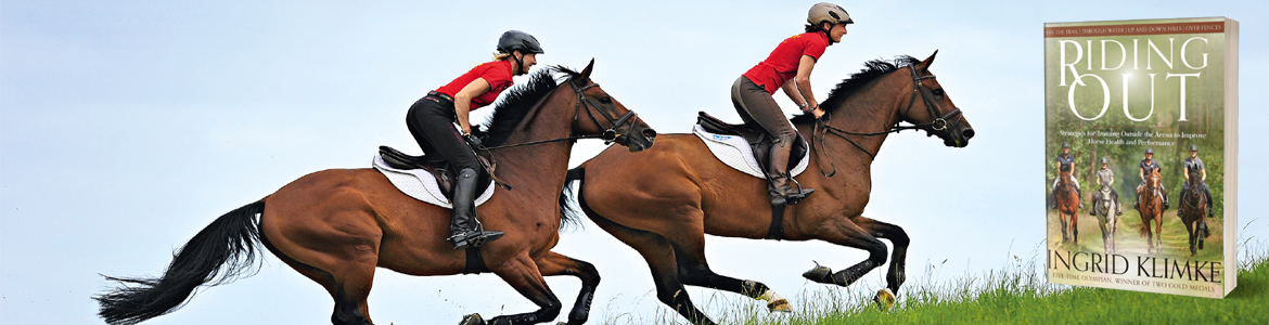 Homepage - Quiller Publishing