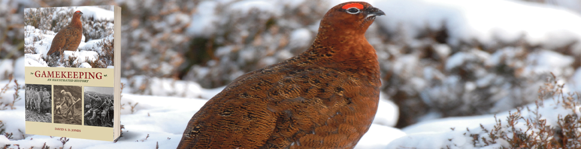 Homepage - Quiller Publishing